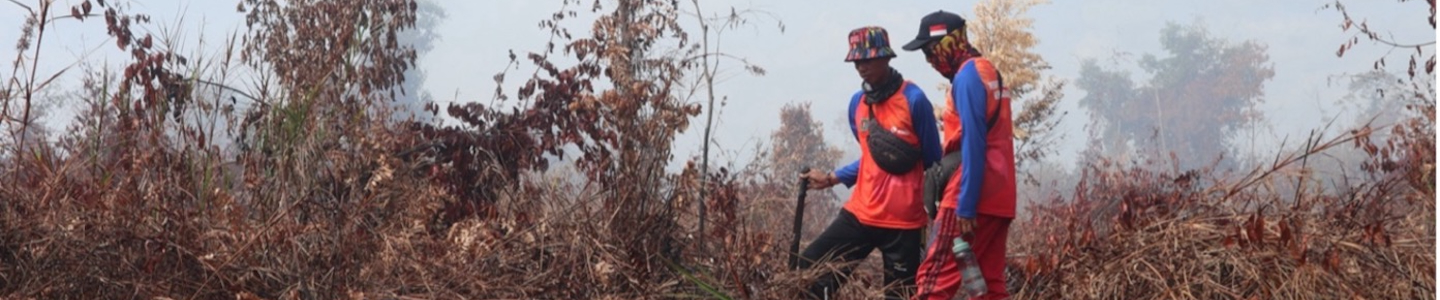 The people of Indonesia & their culture, politics, economy and ...